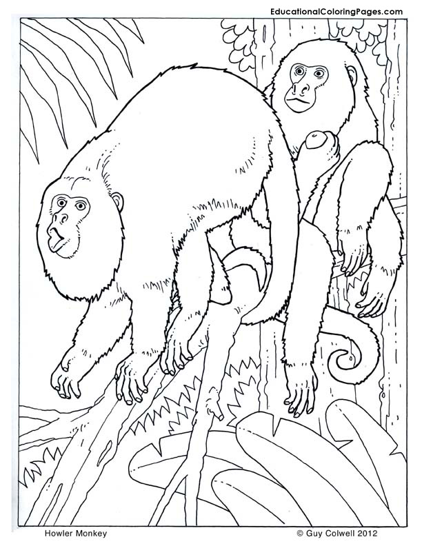 Primates Coloring Page Fun Kids Coloring Page And Preschool Skills ...
