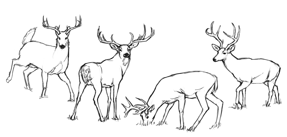 Sketchbook: Muddy&s Mighty Motivational Master Quest - Coloring Nation