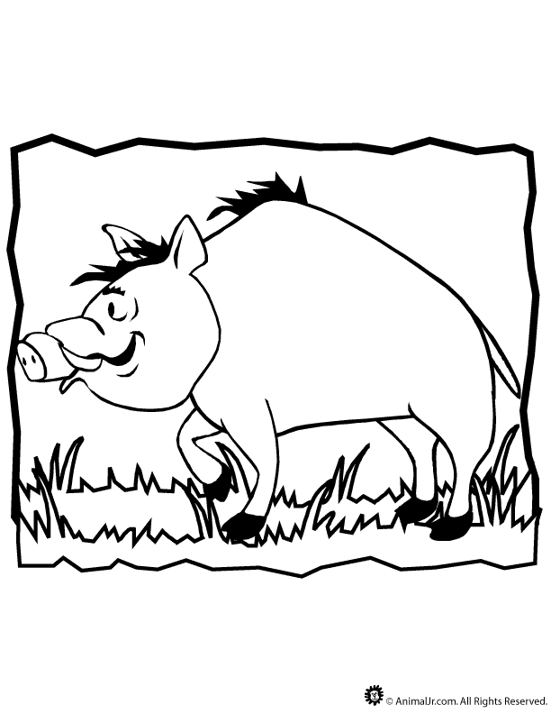 Boar Coloring Page. Woo! Jr. Kids Activities : Children's Publishing ...