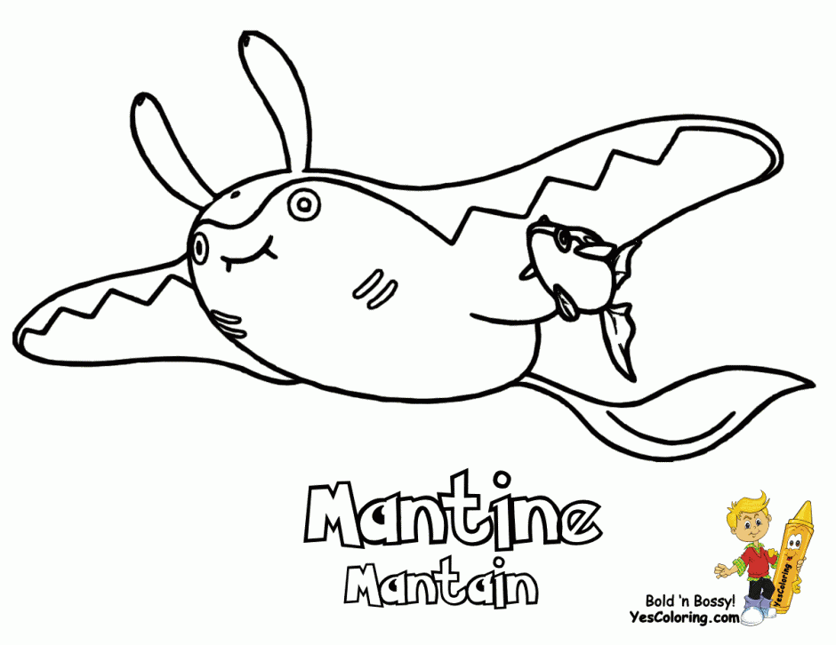 Pokemon Dewott Coloring Page Wallpaper Pokemon Game Best 272447 ...