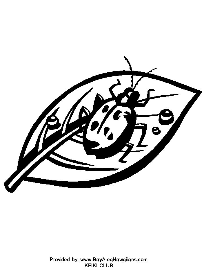 Keiki Club - Coloring Nation