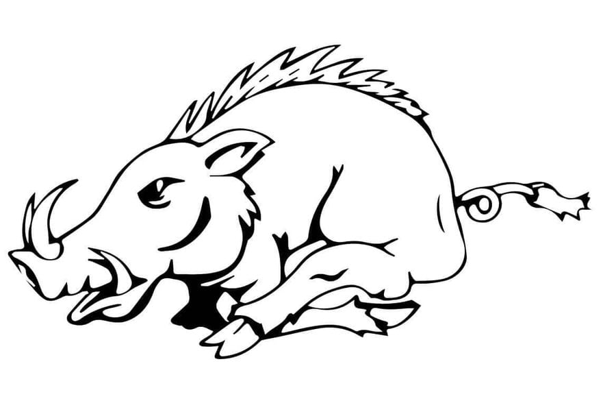 Coloring Page: Wild Boars, Printable For Kids & Adults, Free - Coloring ...