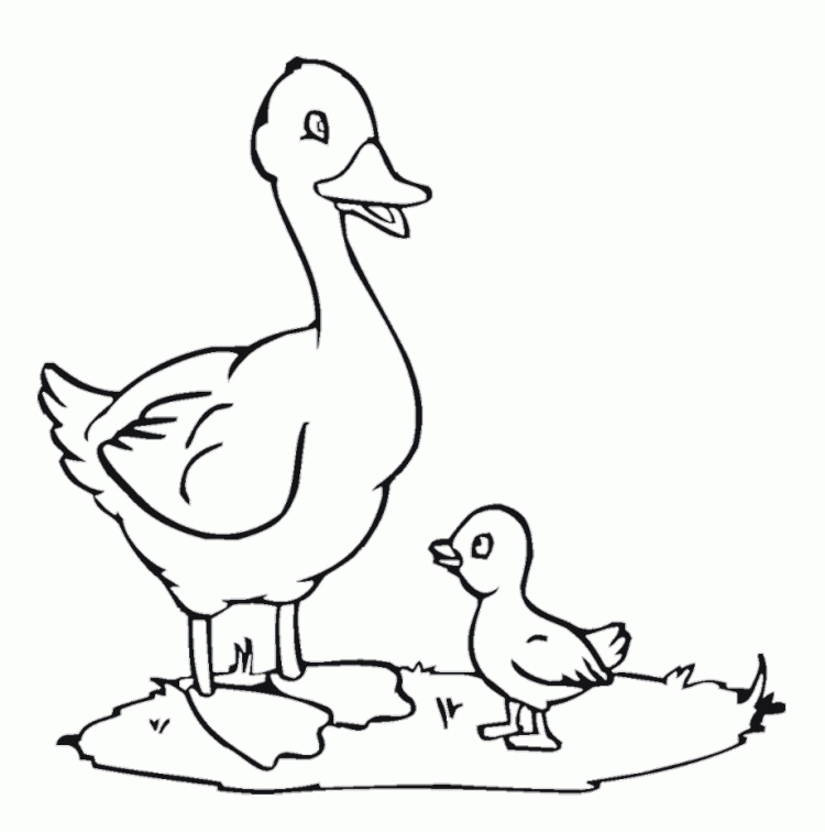 Giggle Giggle Quack Coloring Pages - Coloring Nation