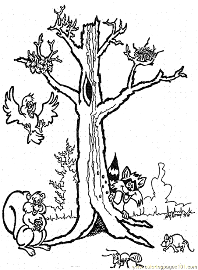 Gum Trees Colouring Pages - Coloring Nation