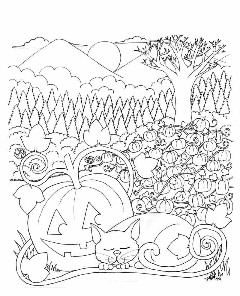 November Coloring Page Up In Santa Cruz - Coloring Nation