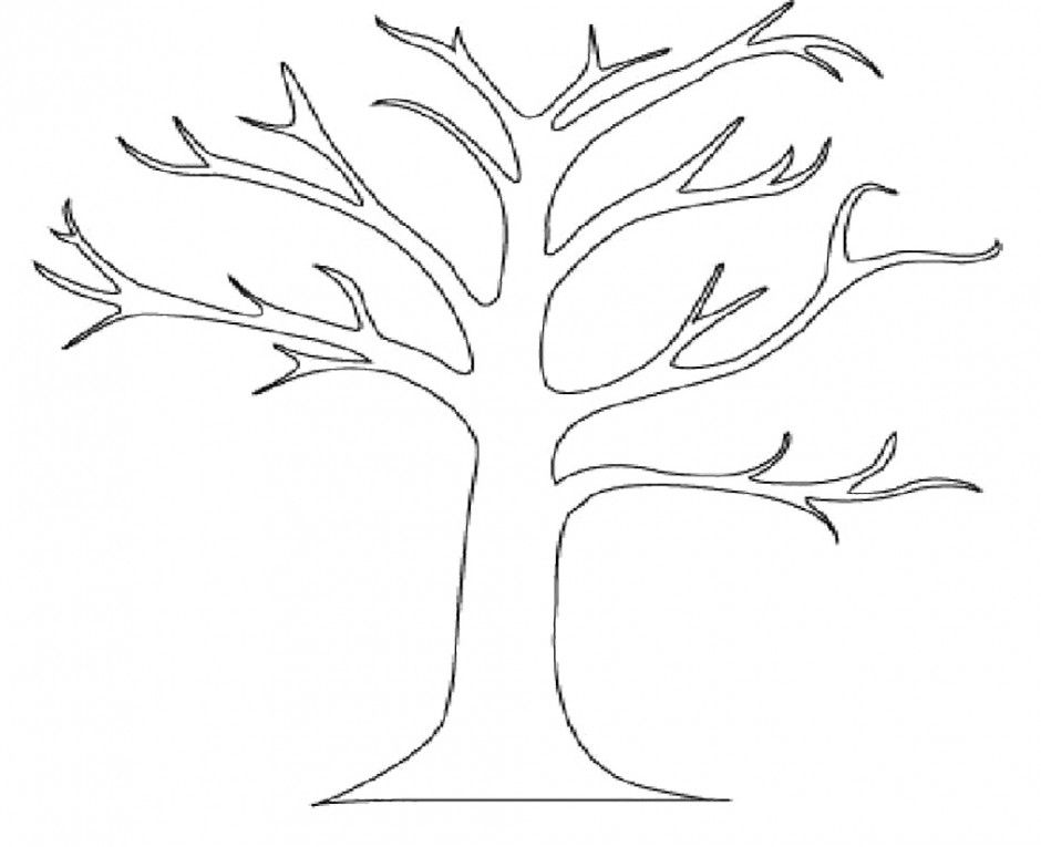 Pics Of Tree Outline Coloring Page Tree Outline - Coloring Nation
