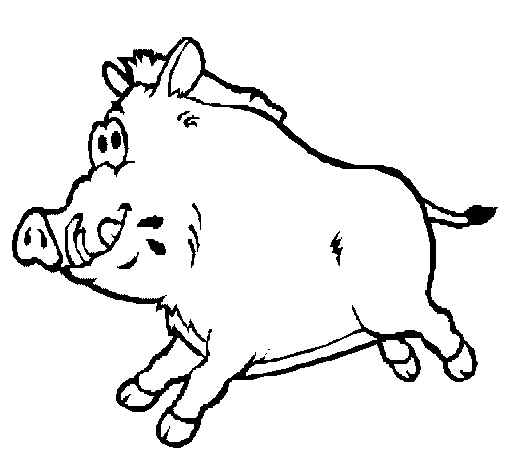 Wild Boar Coloring Page - Coloring Nation
