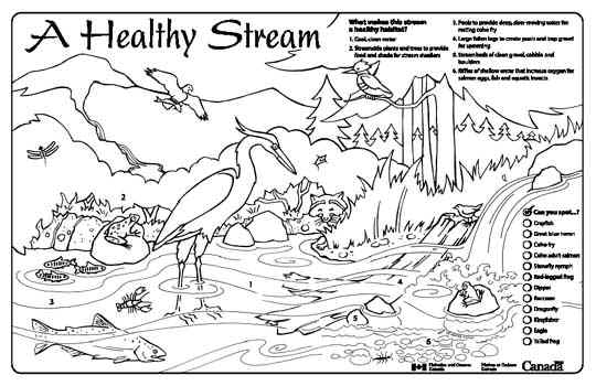 Stream Coloring Pages - Coloring Nation
