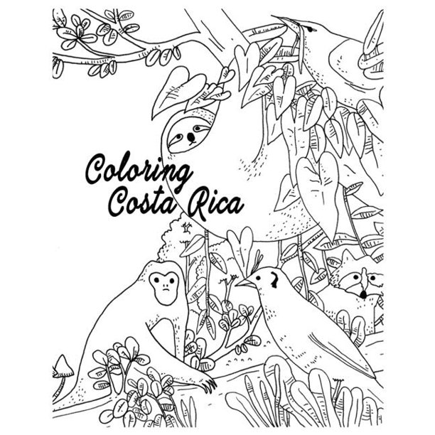 Coloring Costa Rica Tree Frog Pages Color Rainforest Eyed Red Frogs ...
