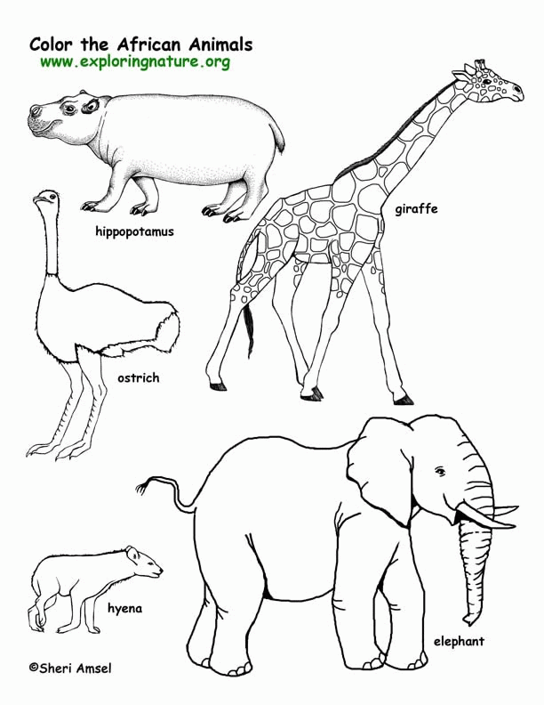 Human Animals Colouring Pages - Coloring Nation
