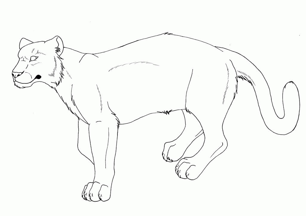 Snow Leopard Lineart - Coloring Nation