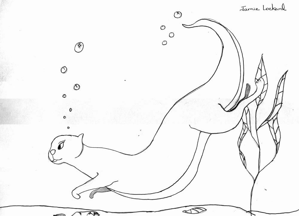 Canku Ota 2000 - Coloring Nation