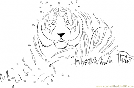Tiger Dot To Dot Printable Worksheet The Dots - Coloring Nation