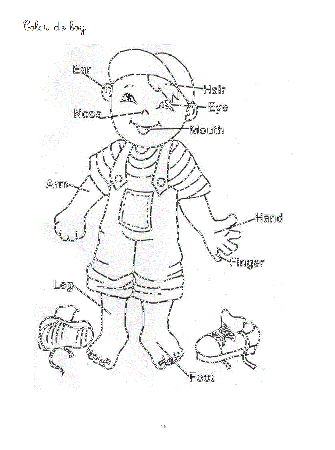 Boy Body Coloring Page Page For All Ages - Coloring Nation